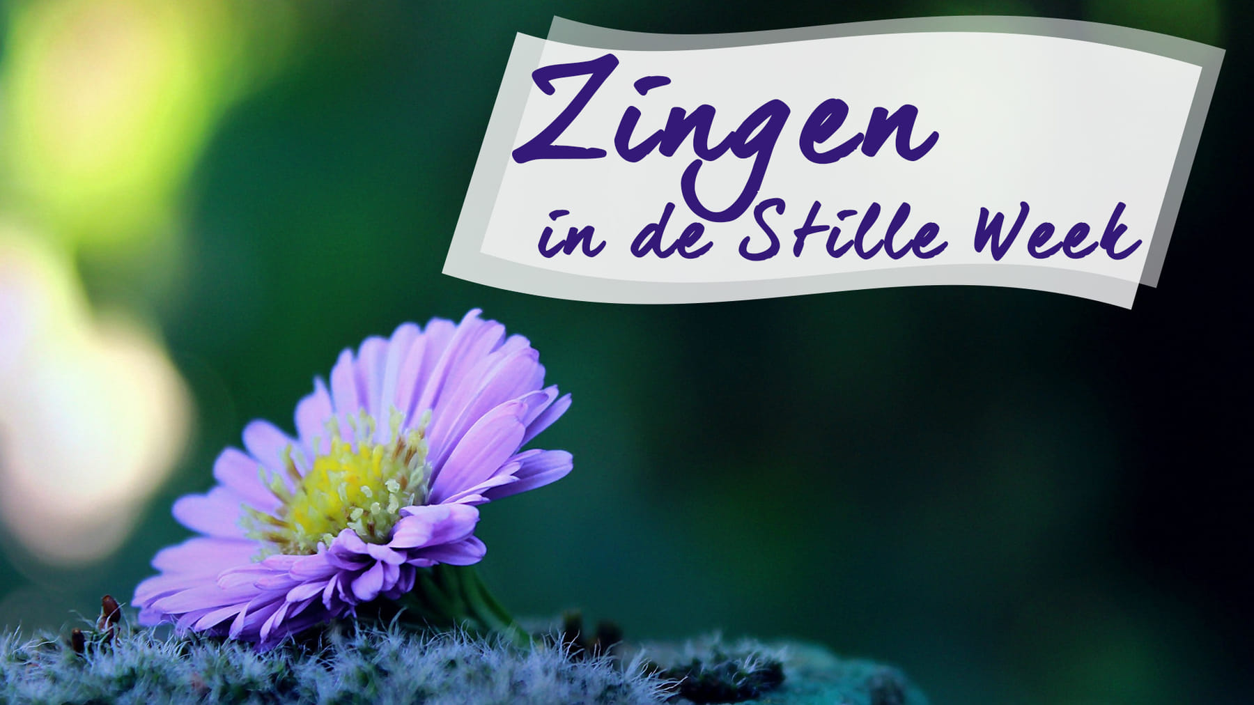 Vijf liederen voor de Stille Week (lijdenstijd) - Nederland Zingt